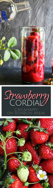 Strawberry Cordial - BonBon Break